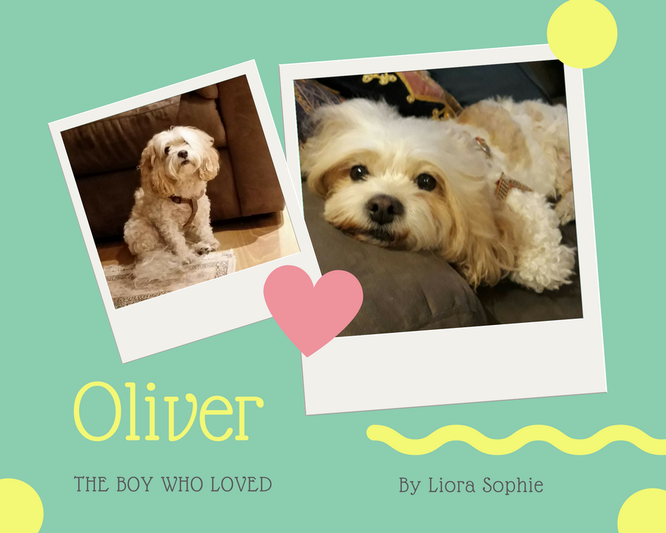 Oliver, The Boy Who Loved – Liora Sophie